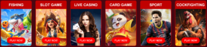 Welcome to 55BMW Casino - Philippines Online Casino Login